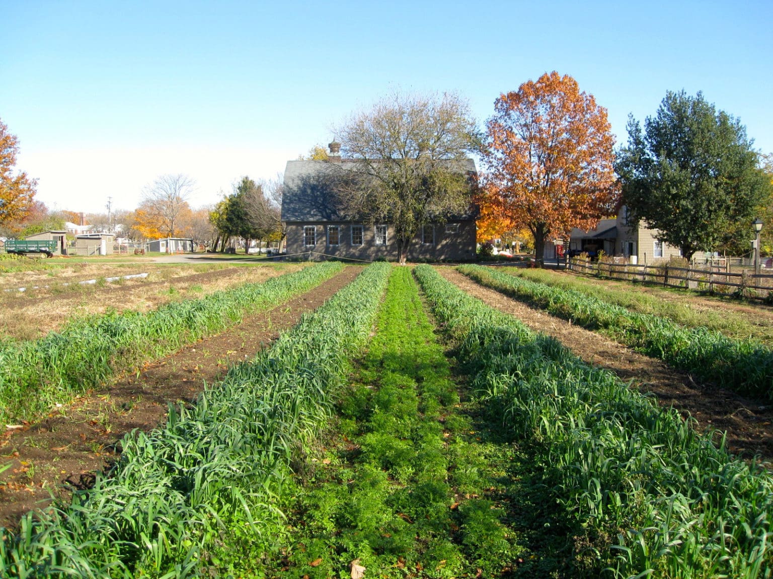 Autumn Dance Celebration at Queens Farm - Queens County Farm Museum