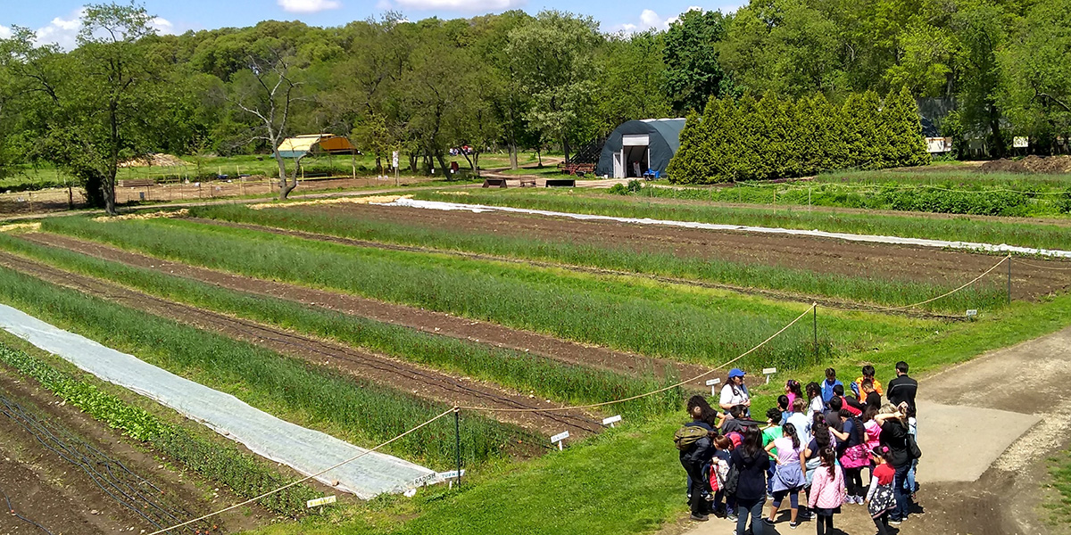 Education - Queens County Farm Museum