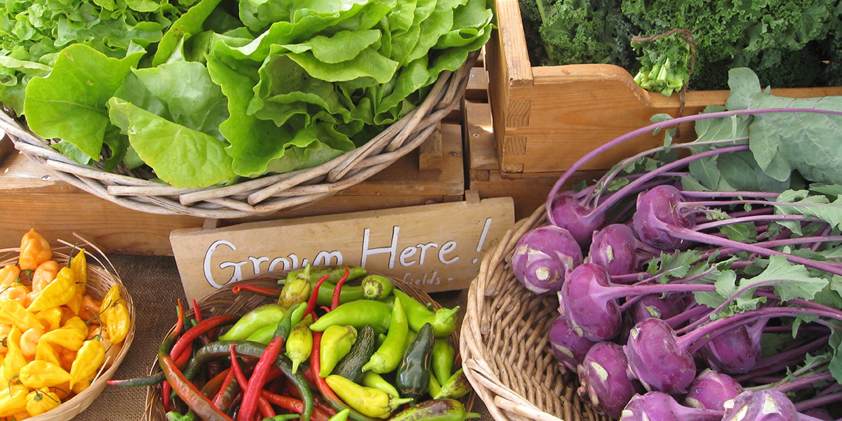 Farmstand - Queens County Farm Museum