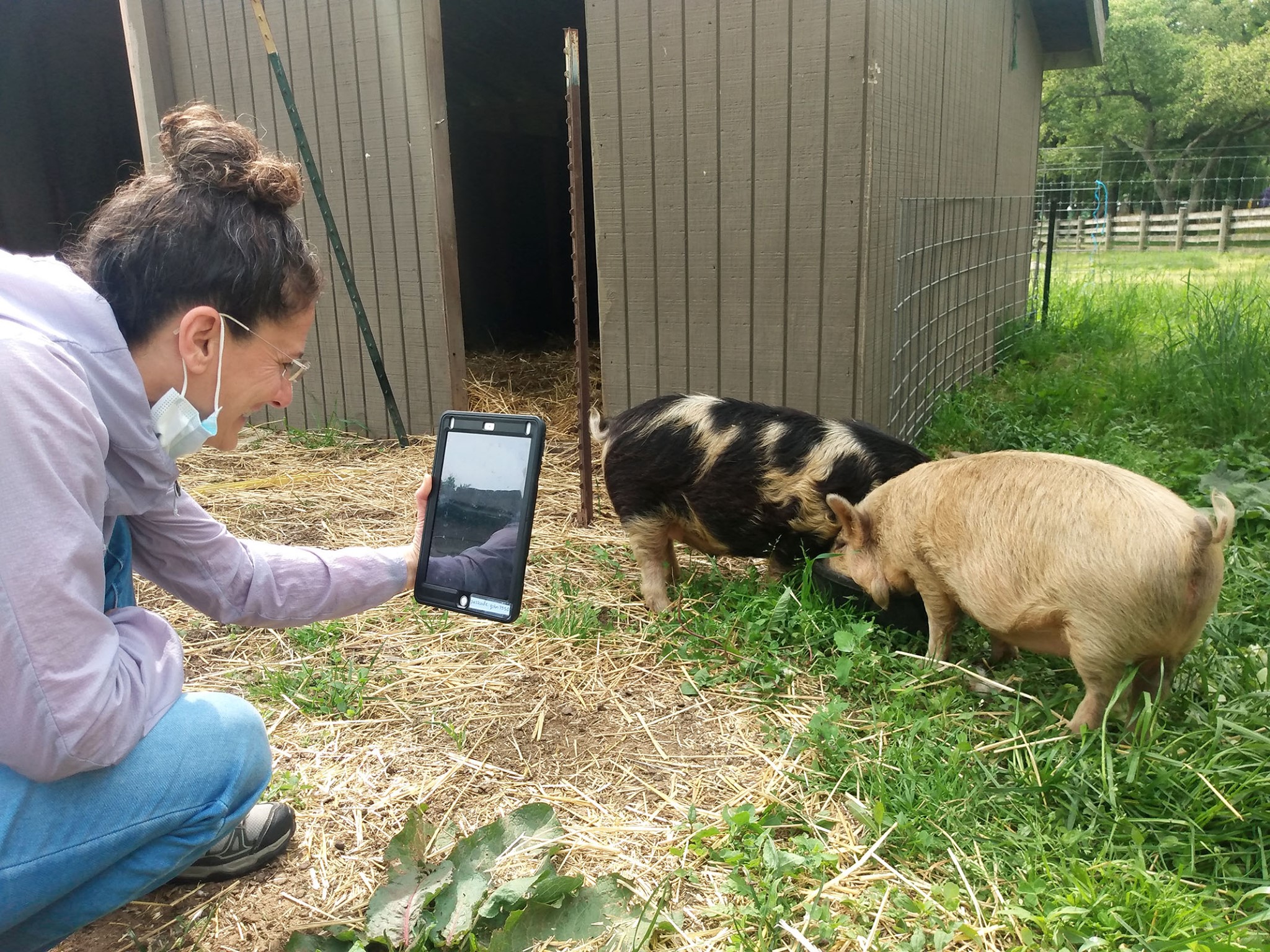 Virtual Tours - Queens County Farm Museum