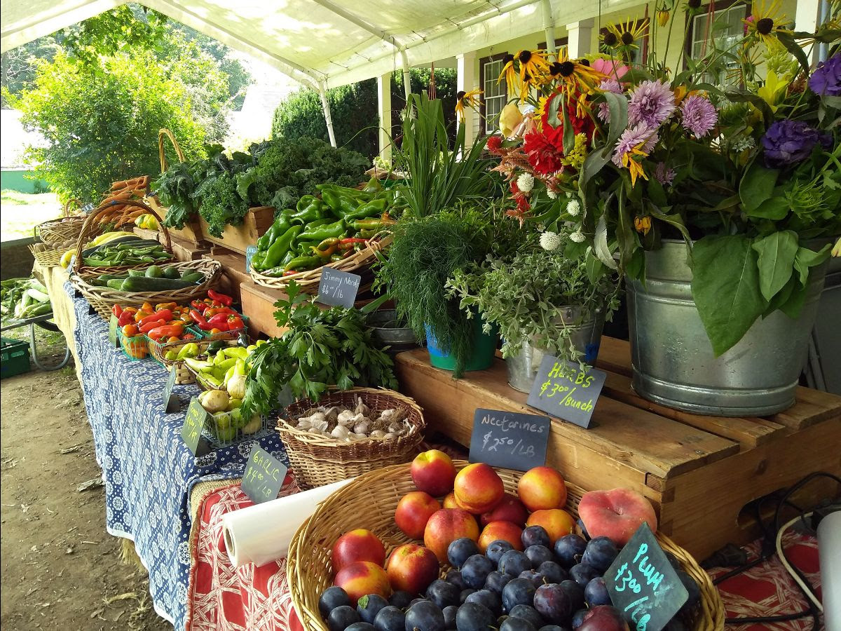 325th Anniversary of Continuous Farming - Queens County Farm Museum