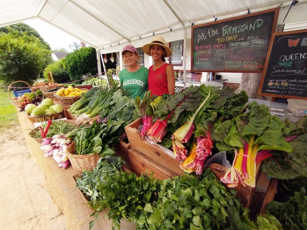 Northwell, Queens County Farm Museum announce community collaborative ...