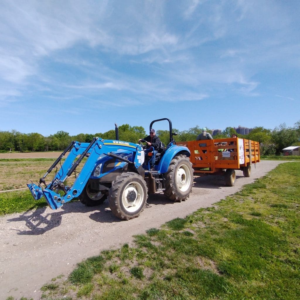 October on the Farm - Queens County Farm Museum