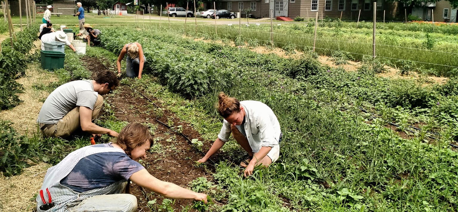 Bee-a-Pollinator: Earth Day Service - Queens County Farm Museum