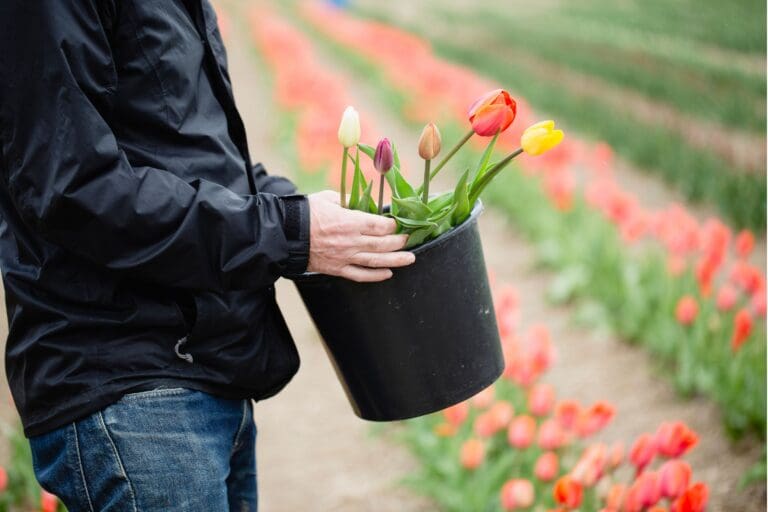 Blooms at Queens Farm - Queens County Farm Museum