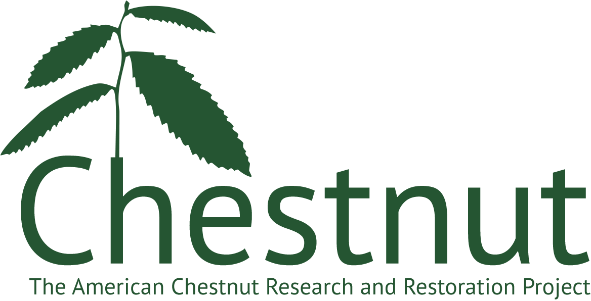 American Chestnuts - Queens County Farm Museum