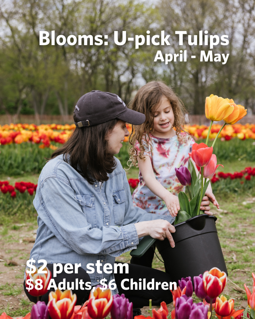 Public Events - Queens County Farm Museum