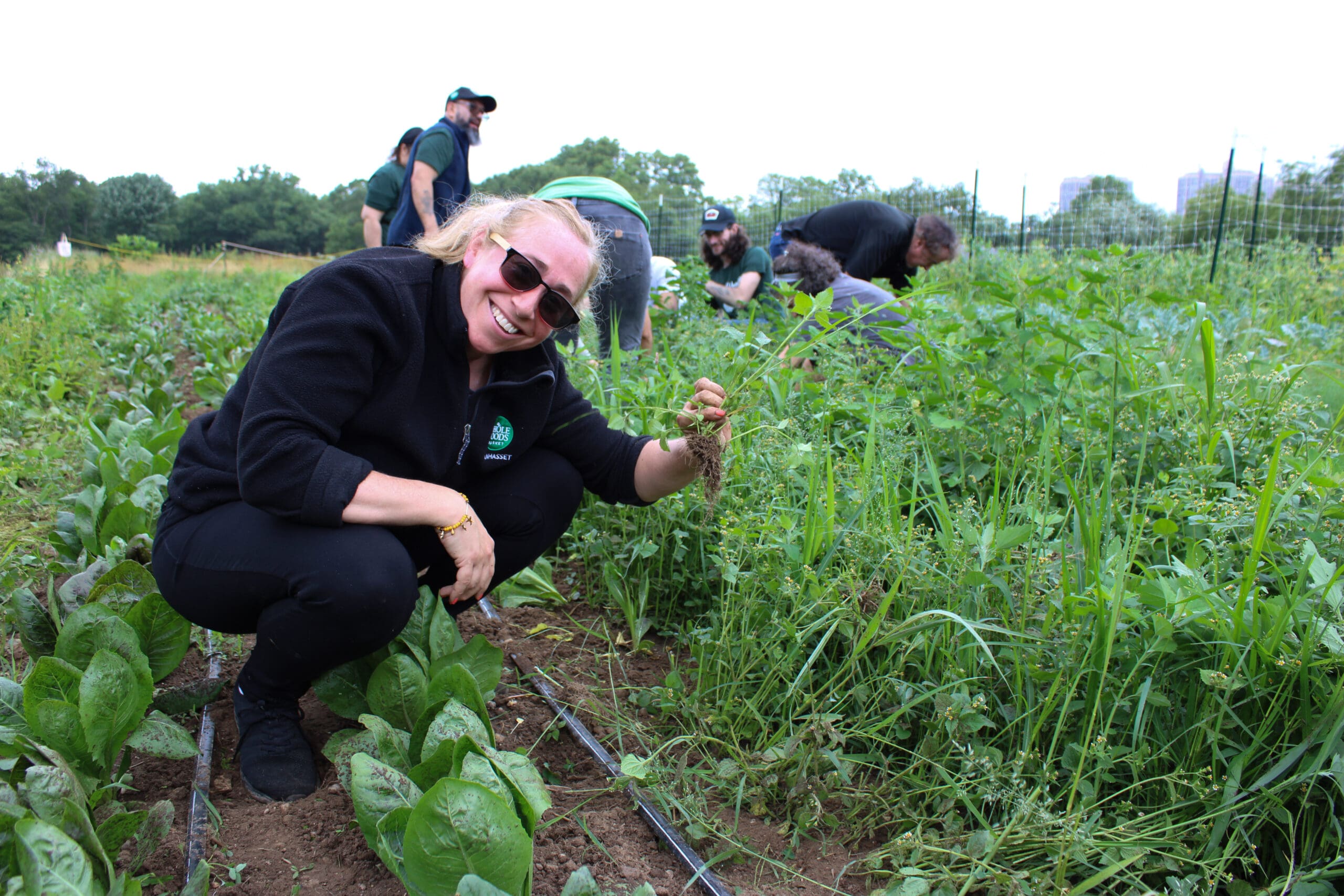 Corporate Partnerships & Employee Engagement - Queens County Farm Museum