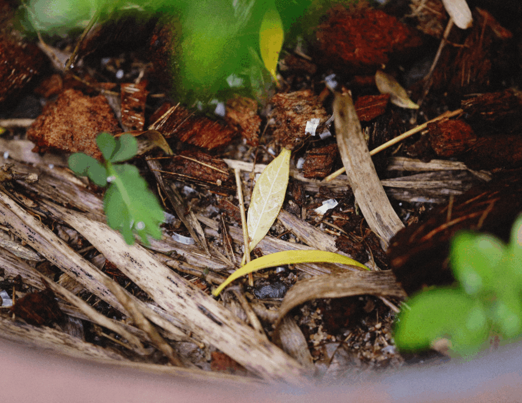 Composting Series: History of Compost - Queens County Farm Museum